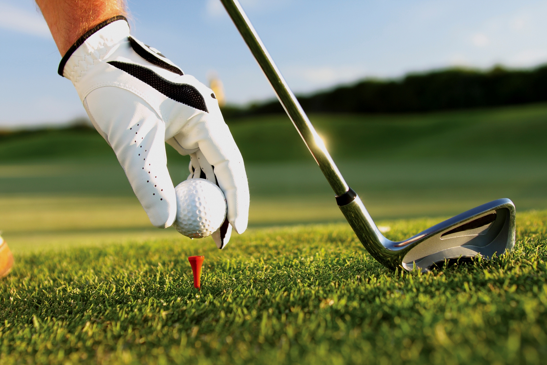 Men's Major Golf Championships - NCERT Guides.Com