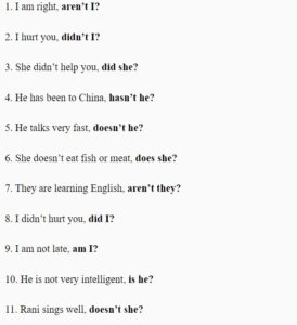 Question Tags Worksheet For Class 8 - NCERT Guides.Com