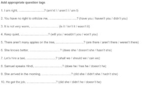 Question Tags Worksheet For Class 7 CBSE - NCERT Guides.Com